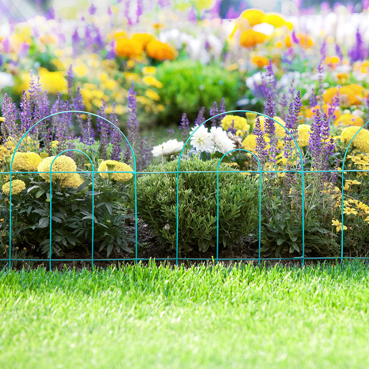 Edging Panels: Looped Border Edging