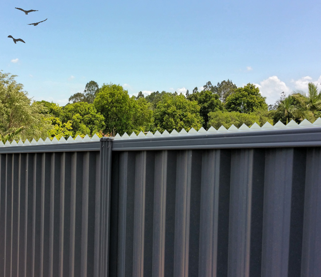 Pest Deterrents: Pest Spikes