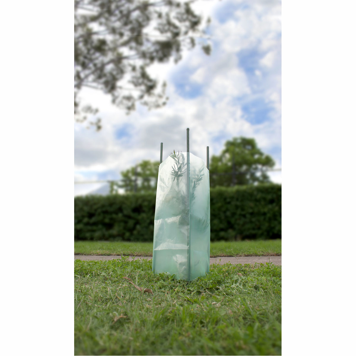 Plant Ties: Tree Tubes